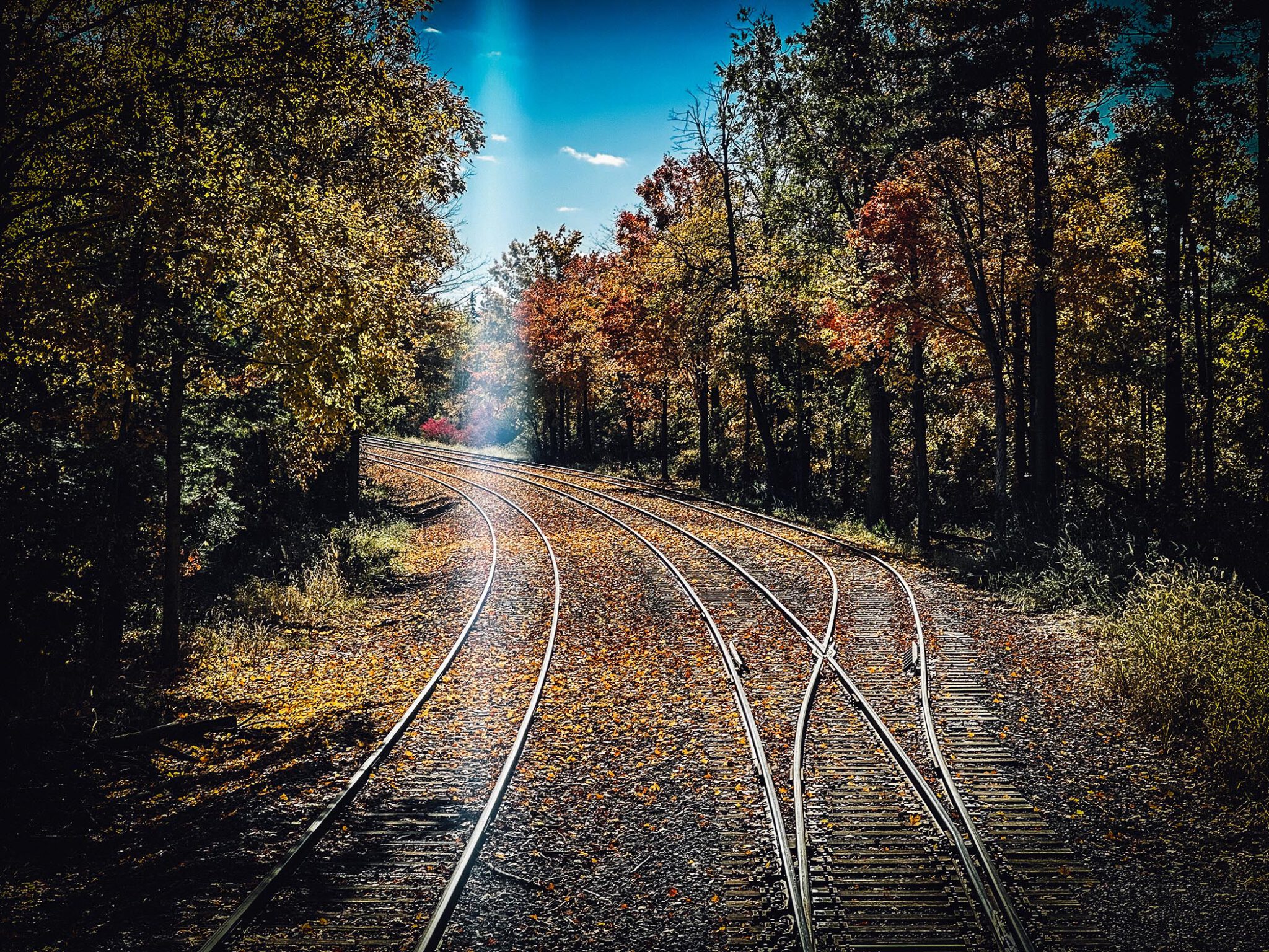 Autumn Limited | Indiana Rail Experience